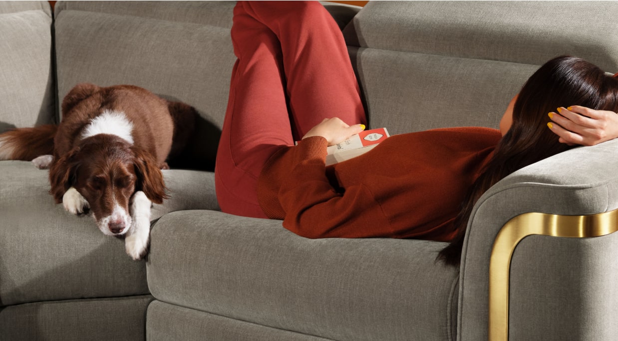 Sofology sofa cleaning store