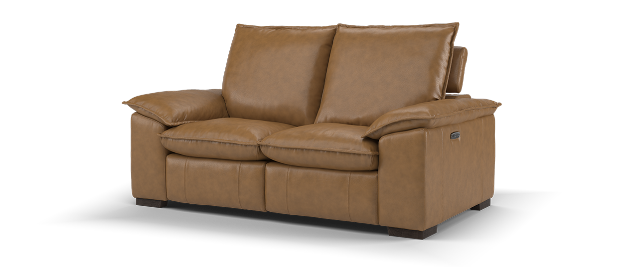 2 Seater Leather Sofas | Small Leather Sofas | Sofology